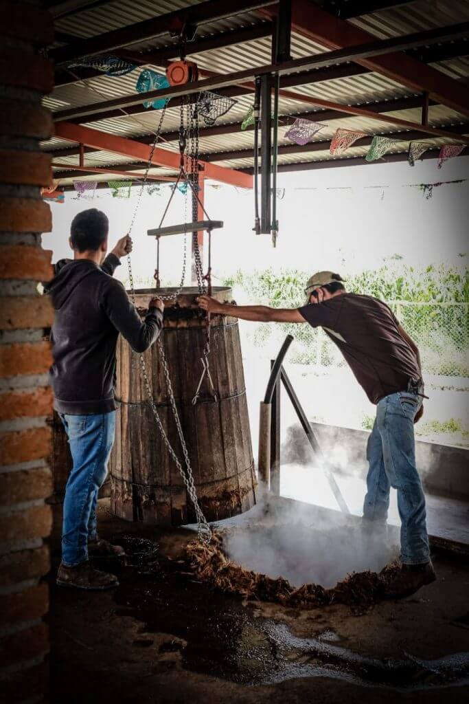 Artisanal Mezcal | Best Artisanal Mezcal | La Luna Mezcal